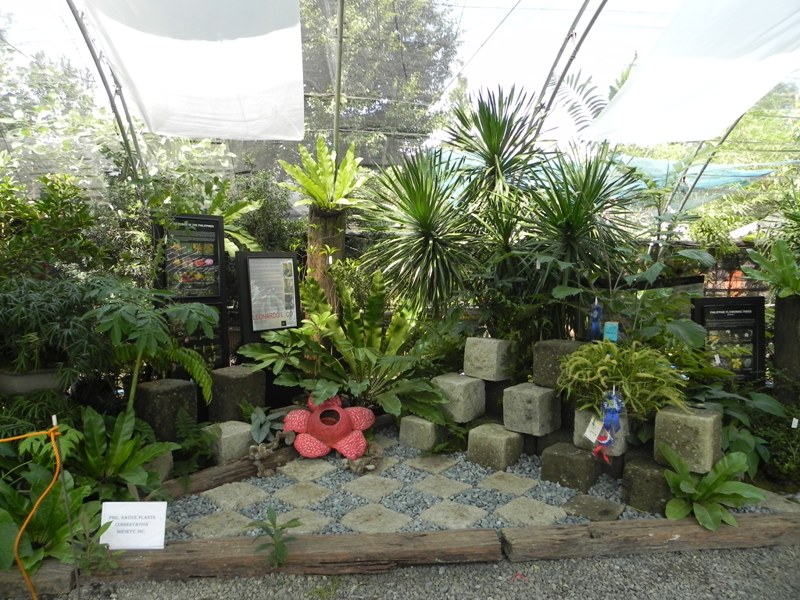 Beautiful Landscaping Ideas for Home Decoration - Pinoy House Designs